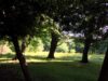 Lake Bluff Farms – Manistee, MI